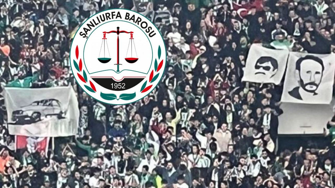 Beyaz Toros nedir? Beyaz Toros Yeşil, JİTEM nedir? Beyaz Toros hikayesi ...