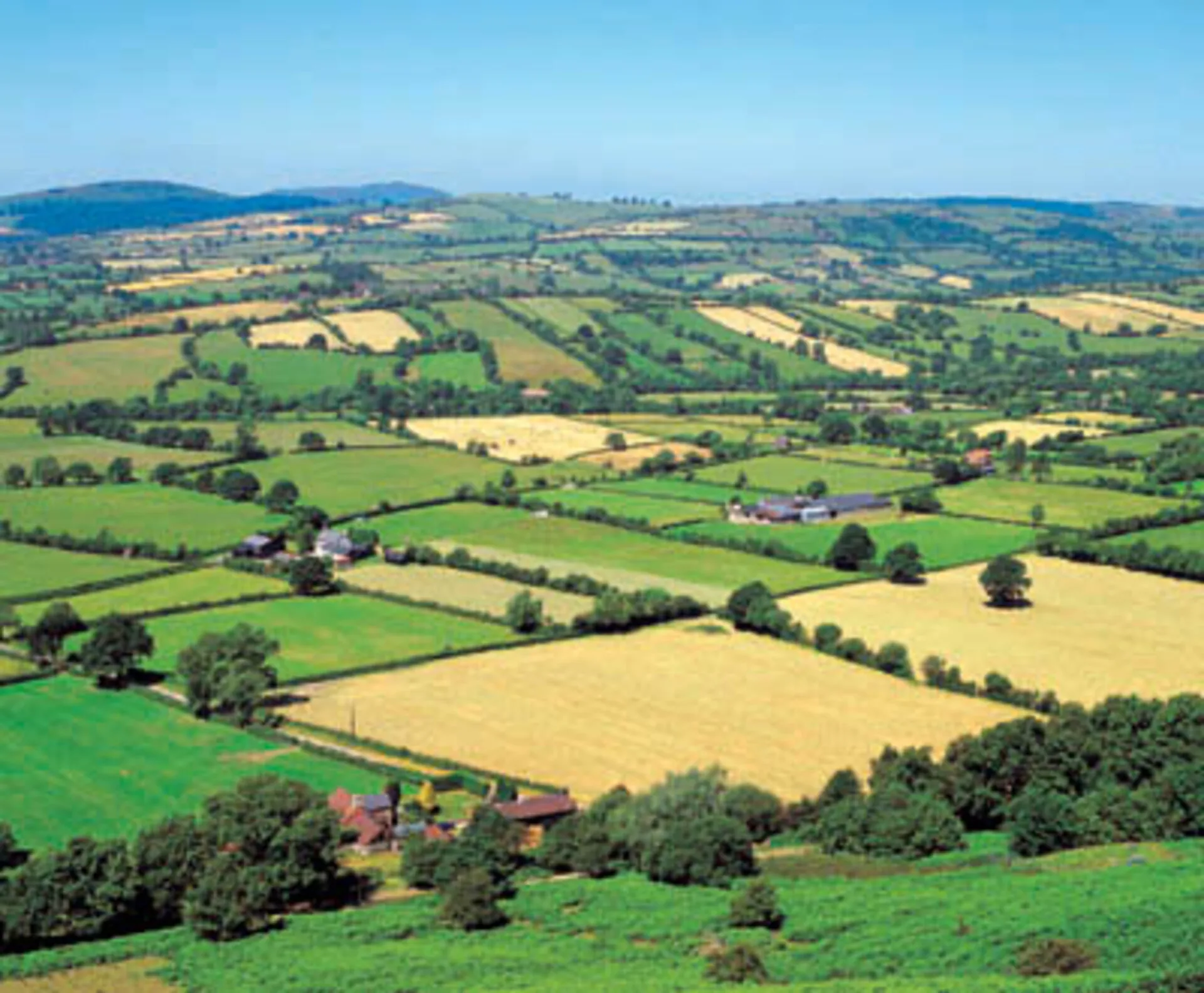 2B Arazisi Tapusu Nasıl Alınır? İmar ve Ev Yapımı Şartları Nelerdir?